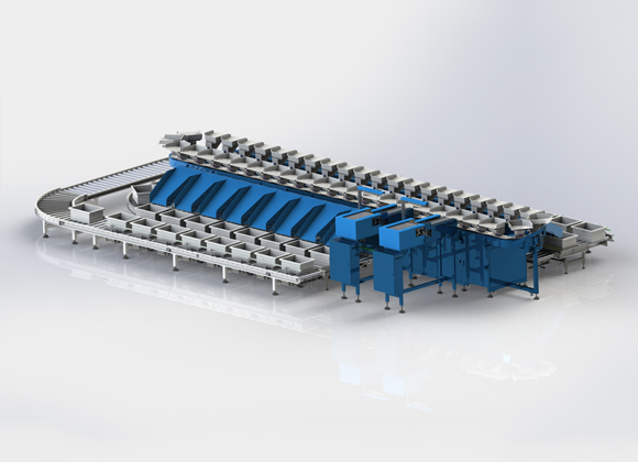 Loop Type Cross Belt Sorter Manufacturer | ConfirmWare